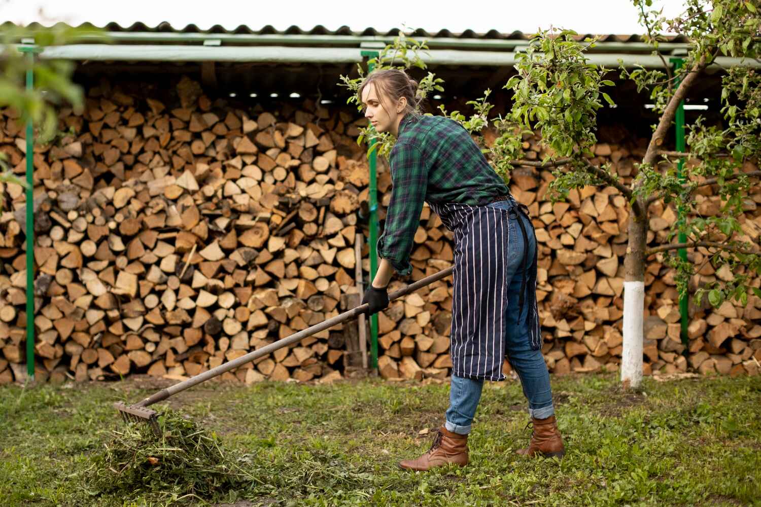 Your Tree Removal Experts in Cheyenne, WY | Morris family Tree Service ...