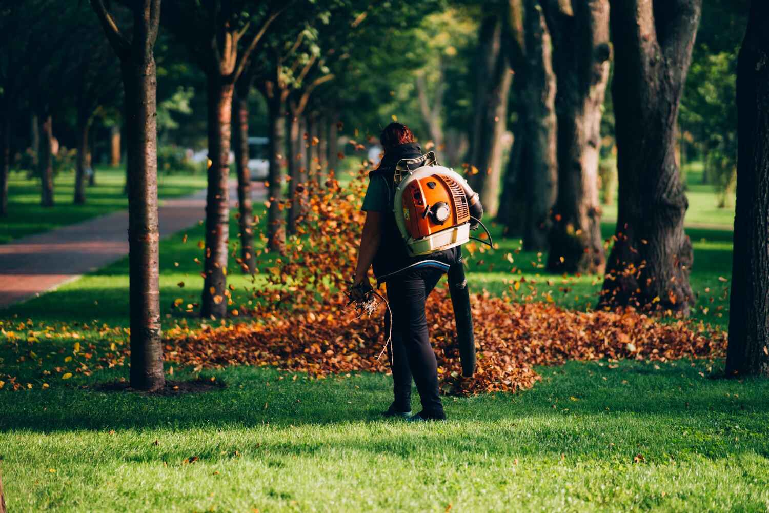 Your Tree Removal Experts in Moses Lake, WA | Morris family Tree ...